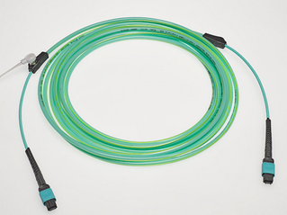 0168 | Molex