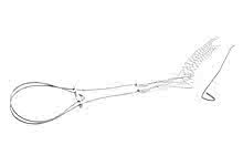 Cable Grips Part - 1300940429 | Molex