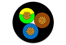 Industrial Cable Part - 1552400167 | Molex